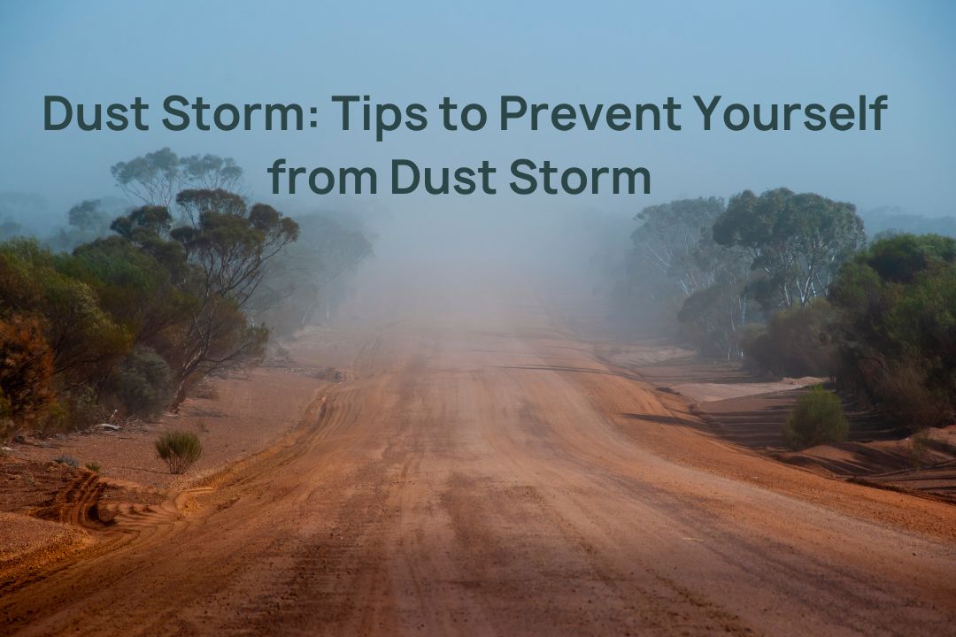 Dust Storm: Tips to Prevent Yourself from Dust Storm – Bibo