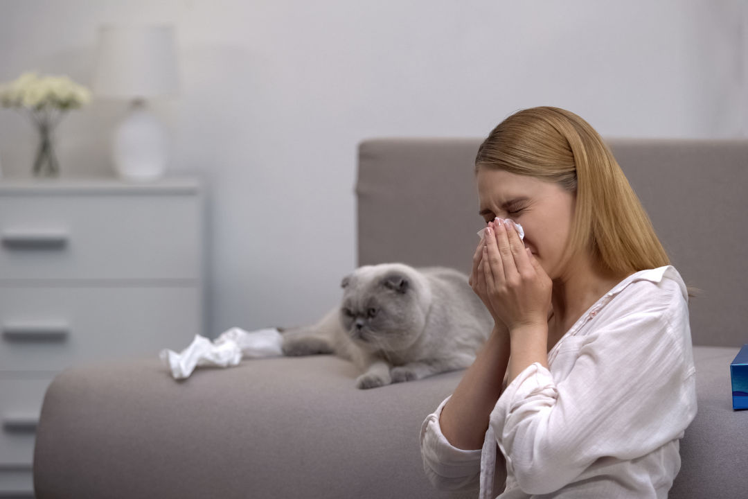 A Vaccine for Cat Allergy- No Human Shots Required – Bibo