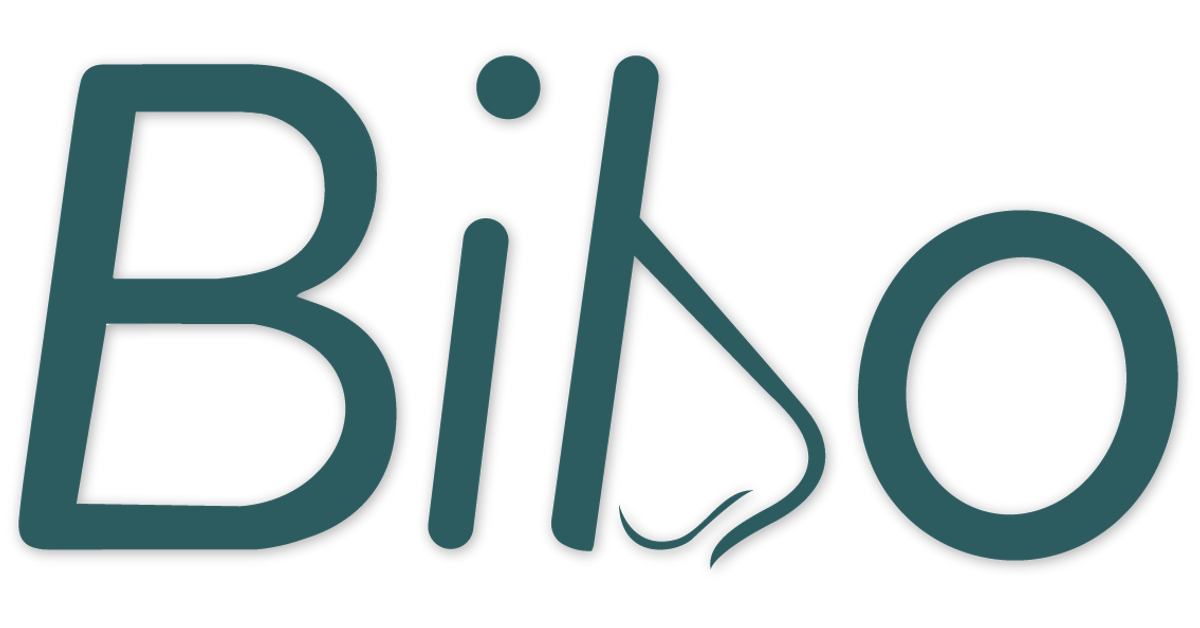 About Us – Bibo
